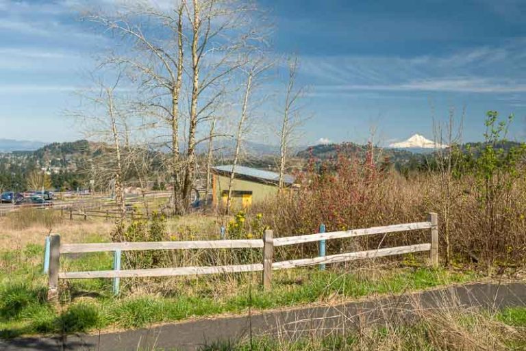 14 Free Things to Do in Portland: Explore its Natural Beauty