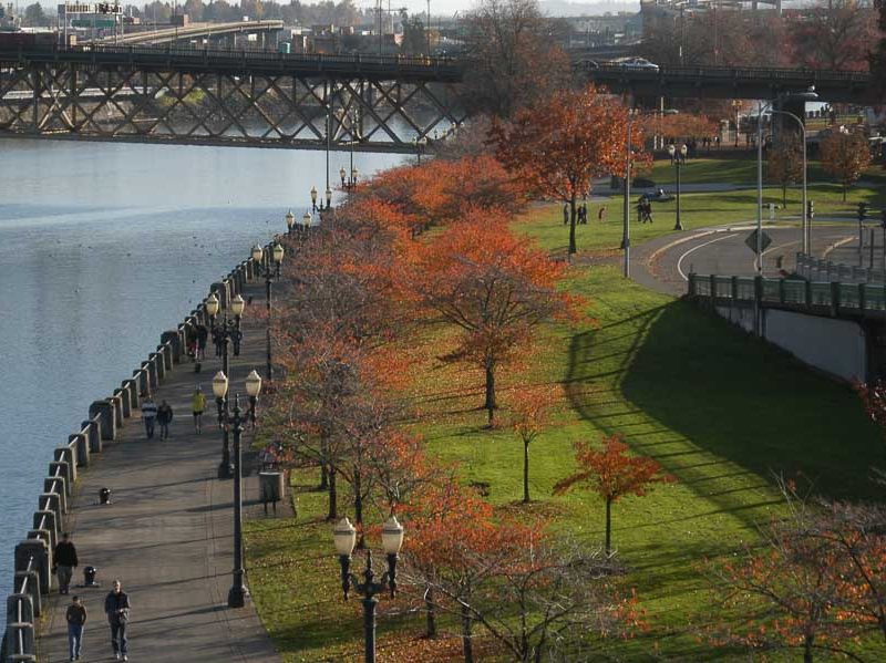 14 Free Things to Do in Portland: Explore its Natural Beauty