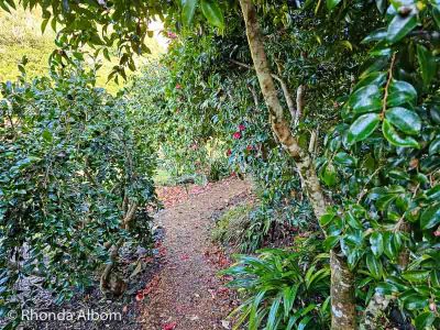 15 Cool Things to Do in Whangarei and the Surrounding Area