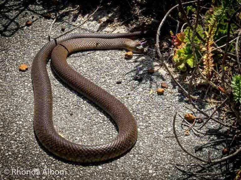11 Things to Do in Albany WA: Nature's Beauty & Hidden Gems