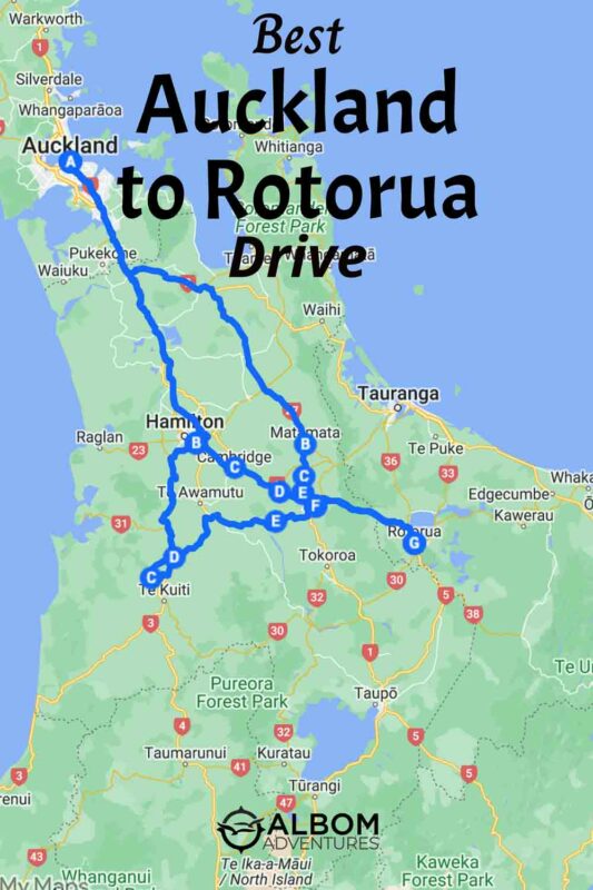 Auckland to Rotorua Drive: 9 Stops on an Epic Journey