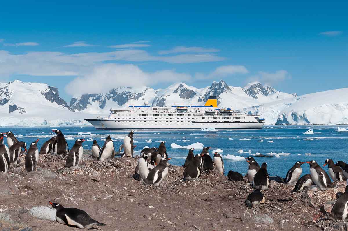 5 Tips for Cruising Antarctica: Perfect Your Polar Adventure