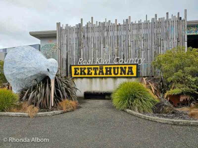 25 Things to Do in Wairarapa: Fall in Love with the Region