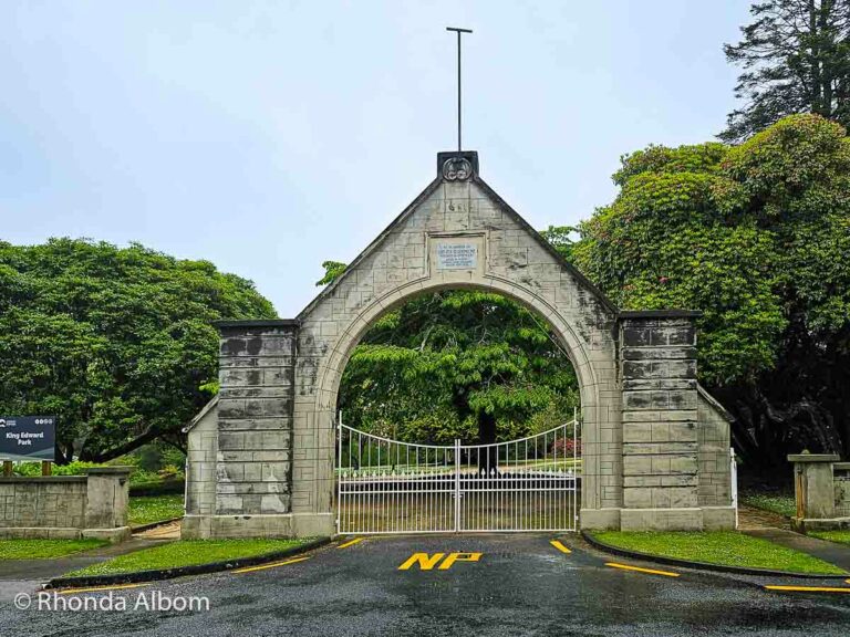 37 Fantastic Things to Do in Taranaki Region, New Zealand