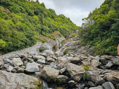 37 Fantastic Things to Do in Taranaki Region, New Zealand