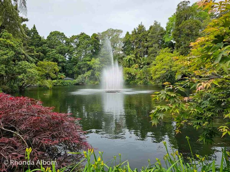 37 Fantastic Things to Do in Taranaki Region, New Zealand