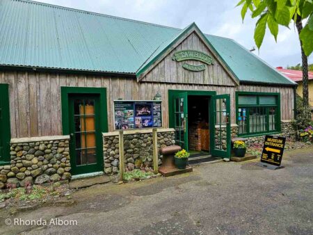 Wellington to New Plymouth Road Trip with 7 Epic Stops