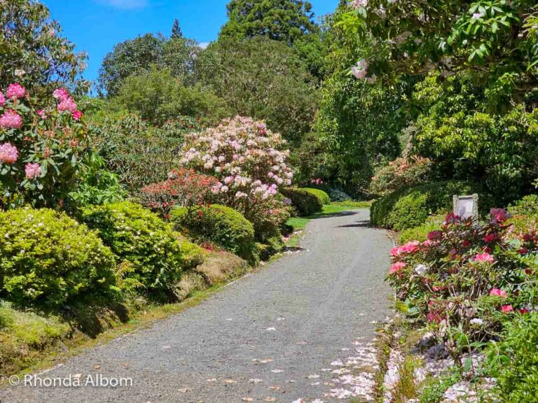 37 Fantastic Things to Do in Taranaki Region, New Zealand