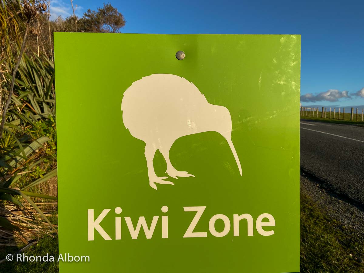 Where to See Kiwi in New Zealand: Insider Guide to 27 Spots