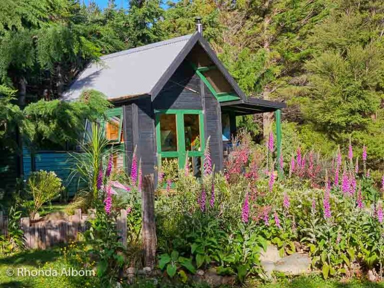 25 Things to Do in Wairarapa: Fall in Love with the Region