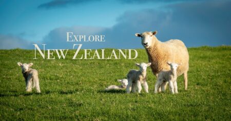 16 Irresistible New Zealand Sweets & Must-Try NZ Desserts