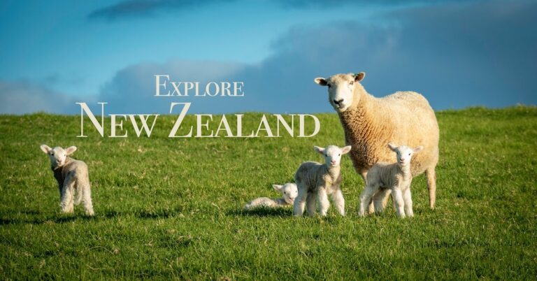 16 Irresistible New Zealand Sweets & Must-Try NZ Desserts