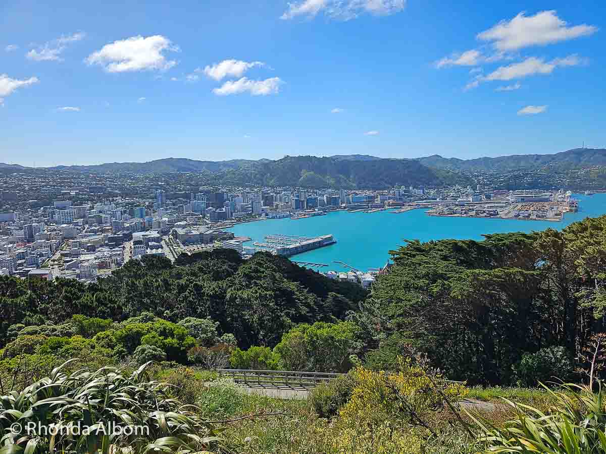Wellington Cruise Port: 10 Must-Dos for Amazing DIY or Tours