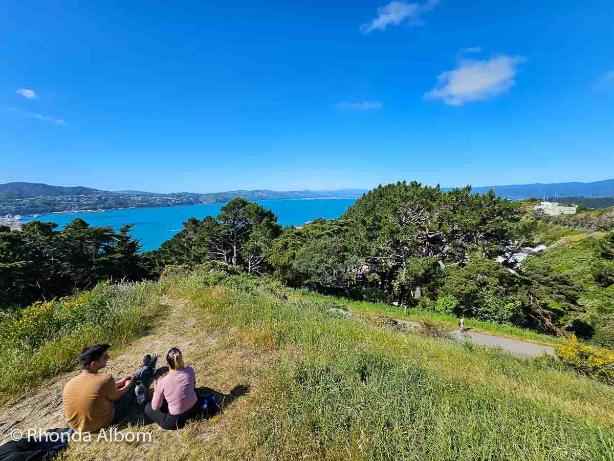 Mount Victoria Lookout: Wellington New Zealand's Best Views