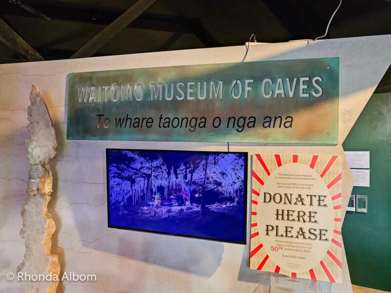 Where to See Glow Worms in New Zealand: 18 Glittering Habitats