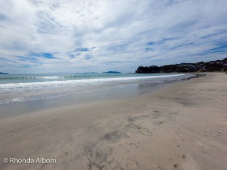 15 Fun Things to Do in Waipu & Bream Bay for Everyone