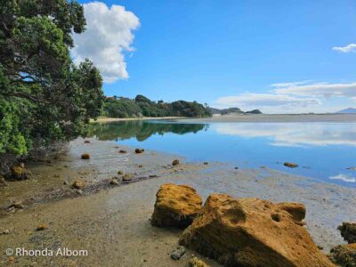 11 Fun Things to Do in Mangawhai: Beaches, Hikes, Dining, and More