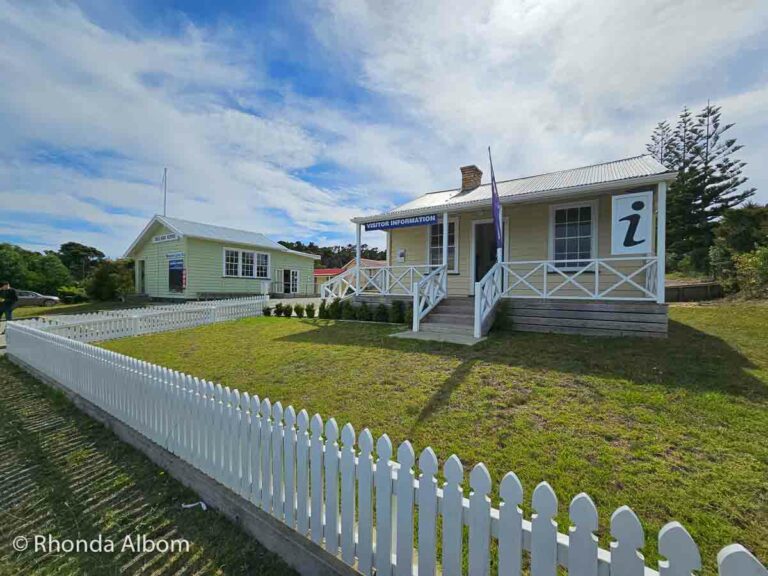 11 Fun Things to Do in Mangawhai: Beaches, Hikes, Dining, and More