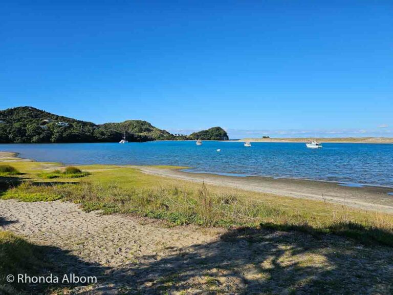 11 Fun Things to Do in Mangawhai: Beaches, Hikes, Dining, and More