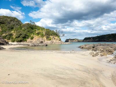 15 Fun Things to Do in Waipu & Bream Bay for Everyone