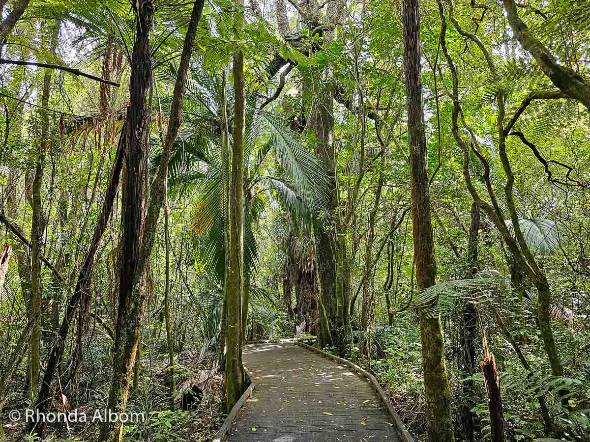 Wellington to New Plymouth Road Trip with 7 Epic Stops