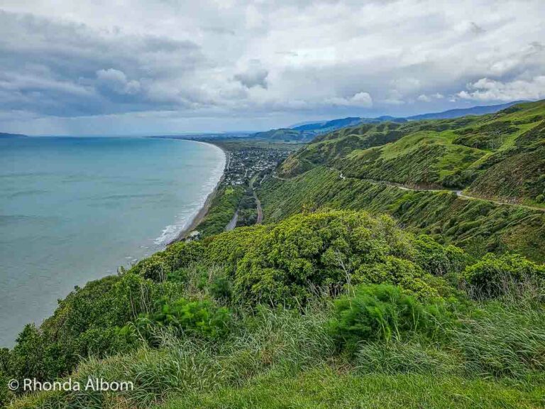 Auckland to Rotorua Drive: 9 Stops on an Epic Journey