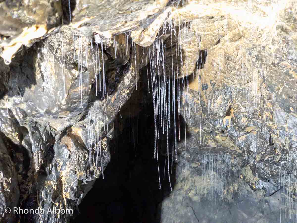 Exploring 2 Waipu Caves: Comparing Glow Worm Tour Vs Free Cave