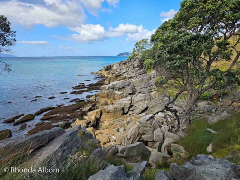 15 Fun Things to Do in Waipu & Bream Bay for Everyone