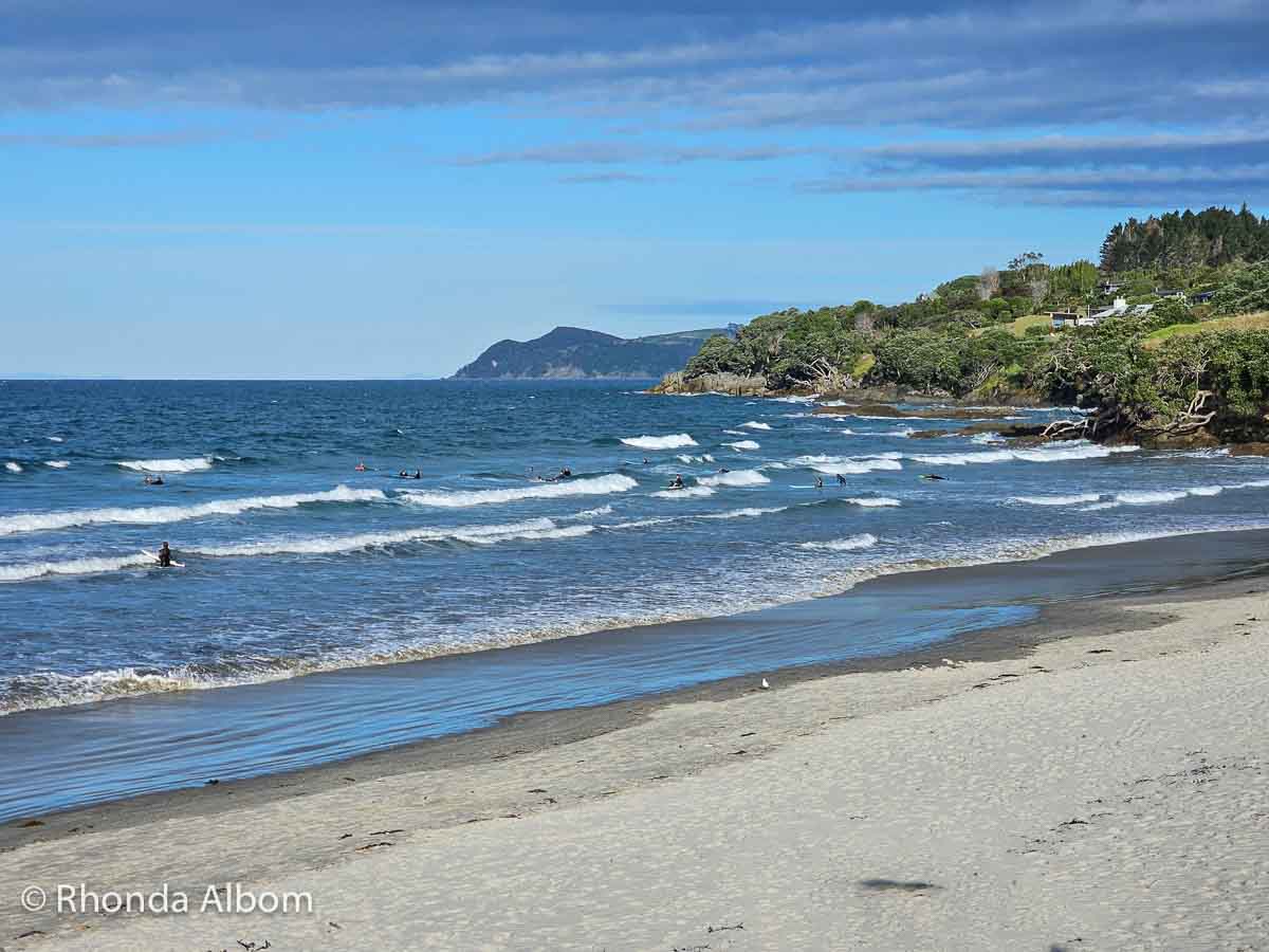 Exploring 2 Waipu Caves: Comparing Glow Worm Tour Vs Free Cave