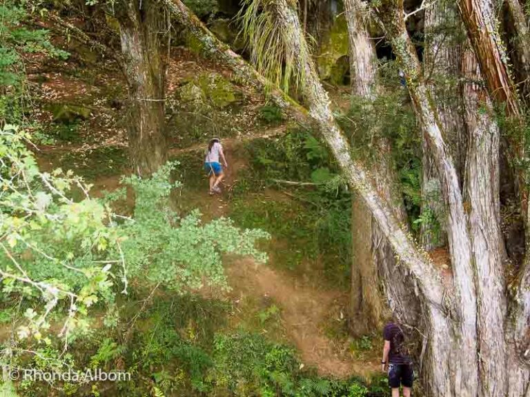 15 Fun Things to Do in Waipu & Bream Bay for Everyone