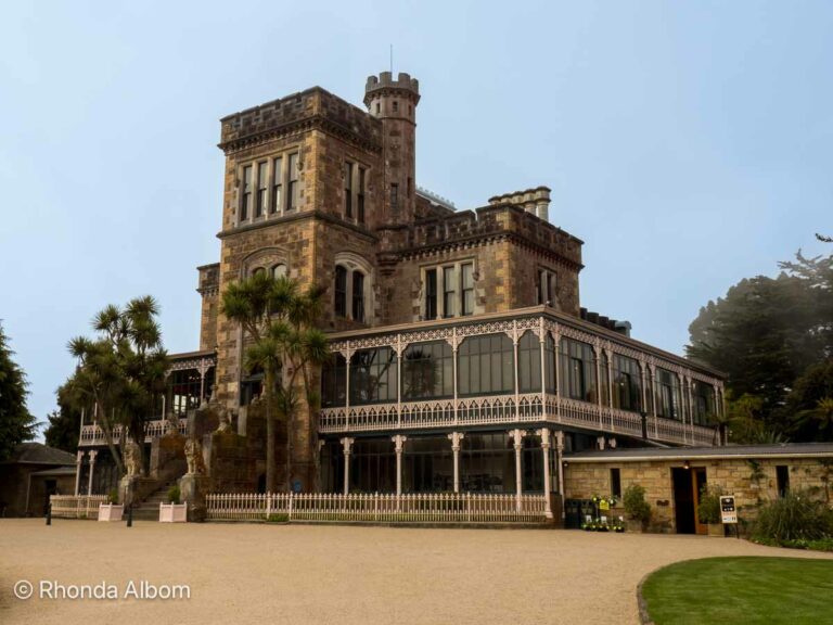 10 Great Dunedin Cruise Port Options: Wildlife to a Castle