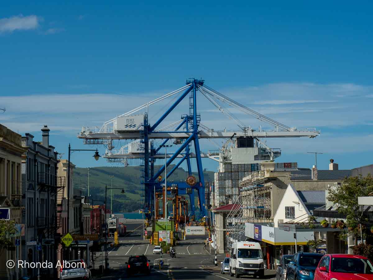 10 Great Dunedin Cruise Port Options: Wildlife to a Castle