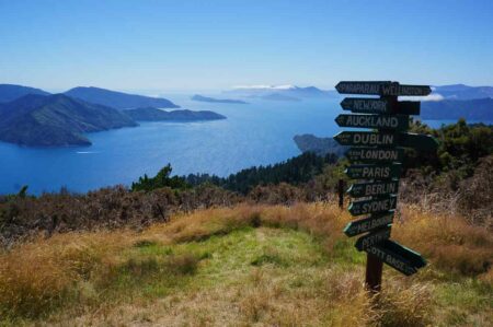 Picton Cruise Port: 13 Fun Ways to Explore Marlborough Sounds