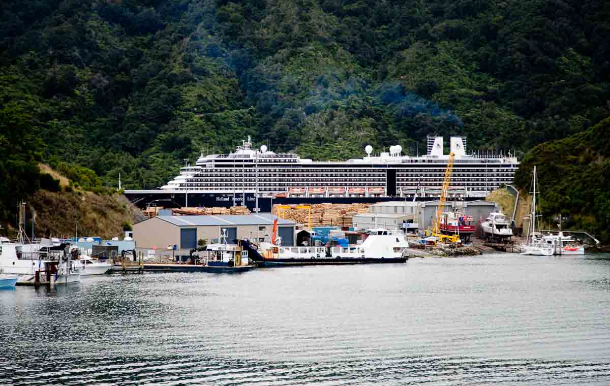 Picton Cruise Port: 13 Fun Ways to Explore Marlborough Sounds
