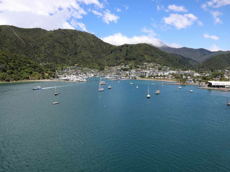 Picton Cruise Port: 13 Fun Ways to Explore Marlborough Sounds
