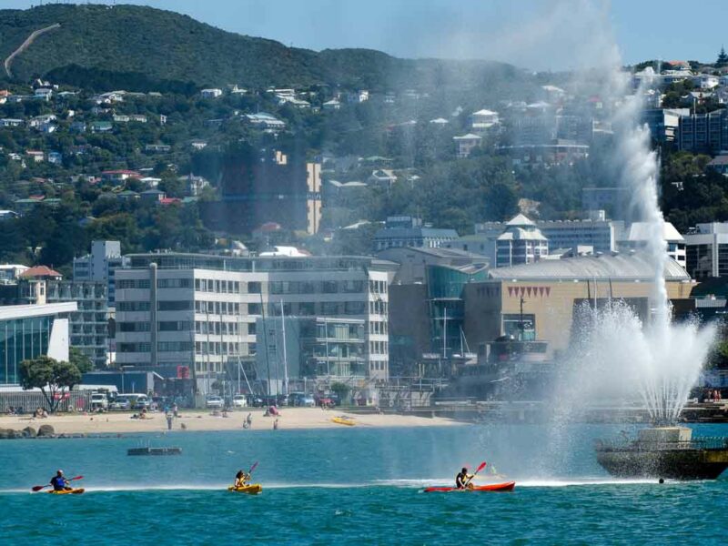 Wellington Cruise Port: 10 Must-Dos for Amazing DIY or Tours