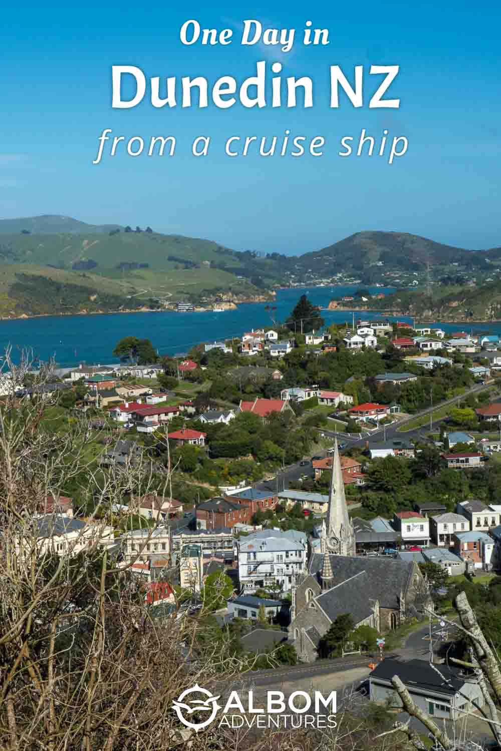 10 Great Dunedin Cruise Port Options: Wildlife to a Castle