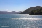 Picton Cruise Port: 12 Fun Ways to Explore Marlborough Sounds