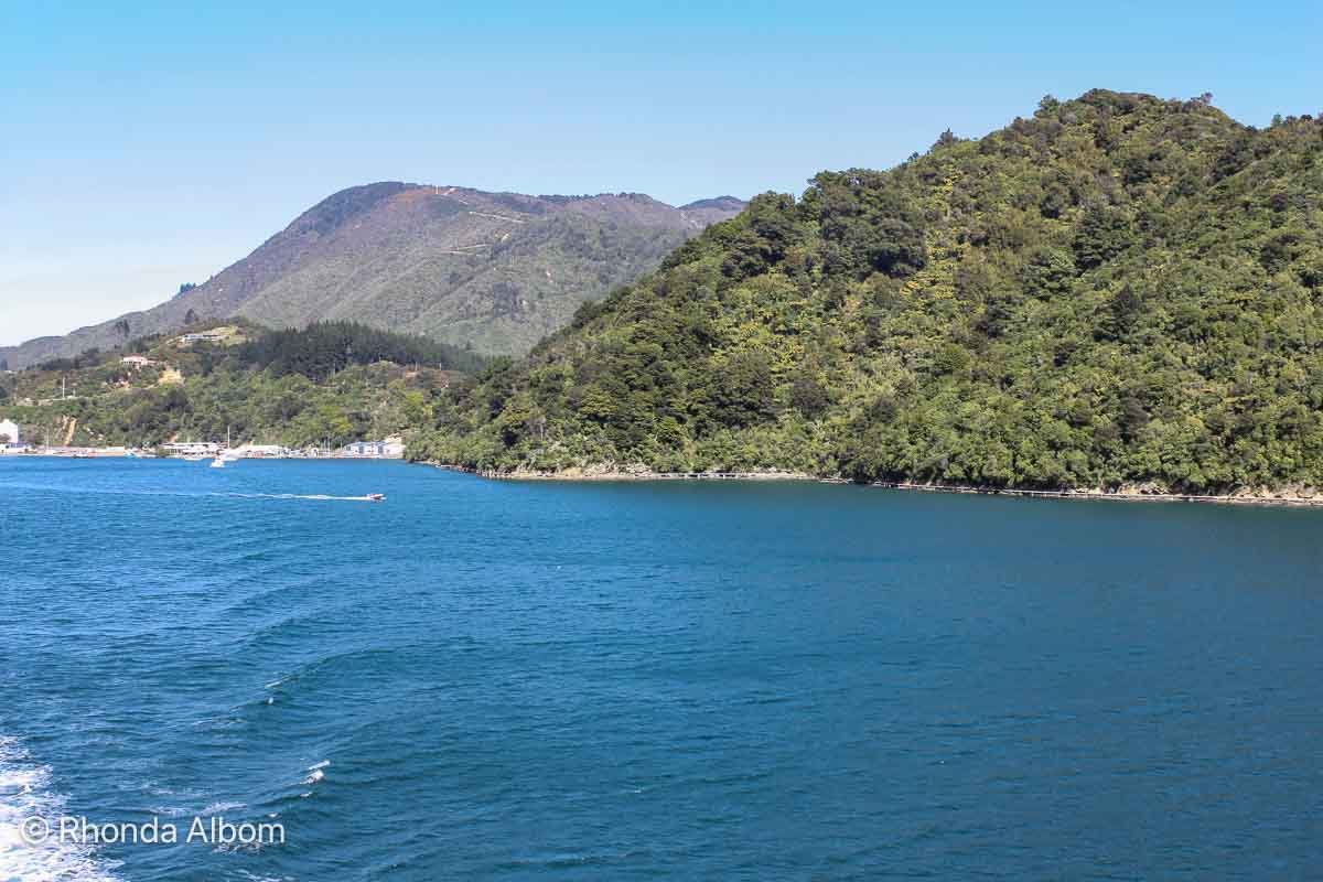 Picton Cruise Port: 13 Fun Ways to Explore Marlborough Sounds