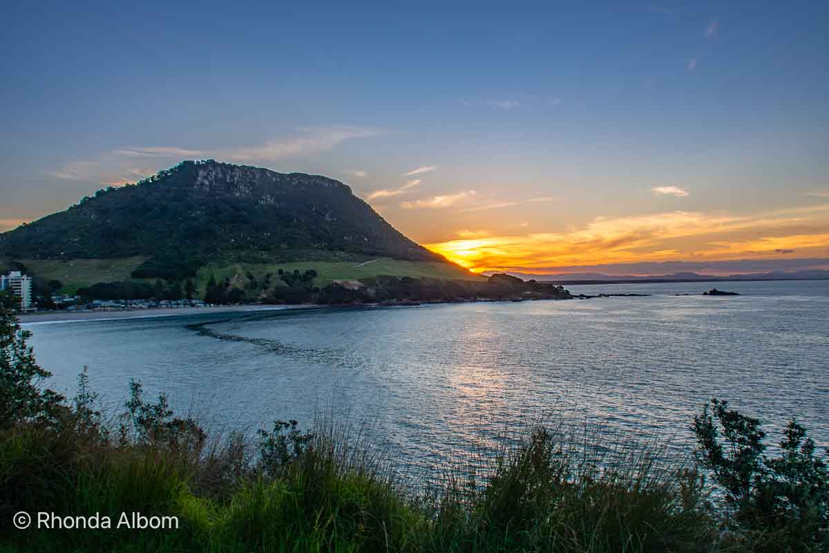 Tauranga Cruise Port 3 Great Choices: Rotorua, Hobbiton, Beach