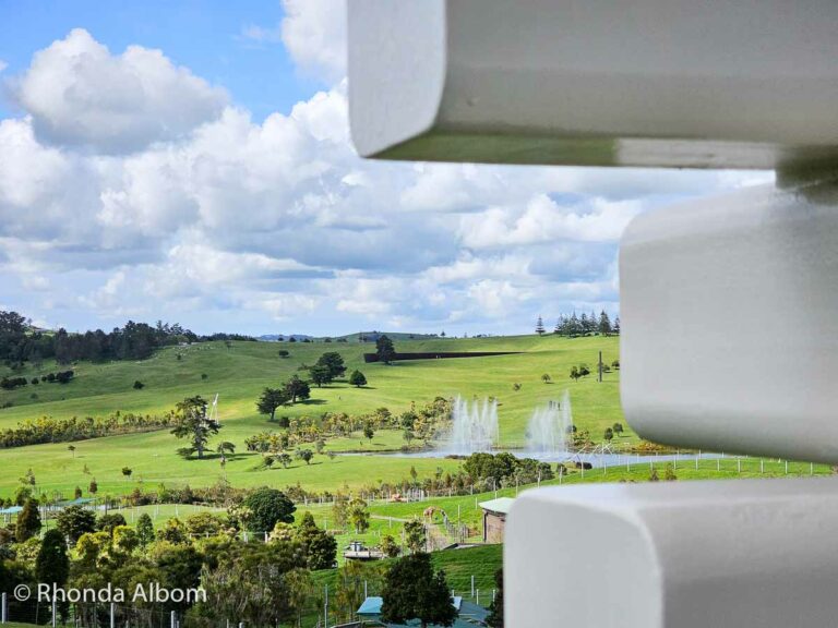 Plan Your Visit to Gibbs Farm Sculpture Park: Ultimate Guide