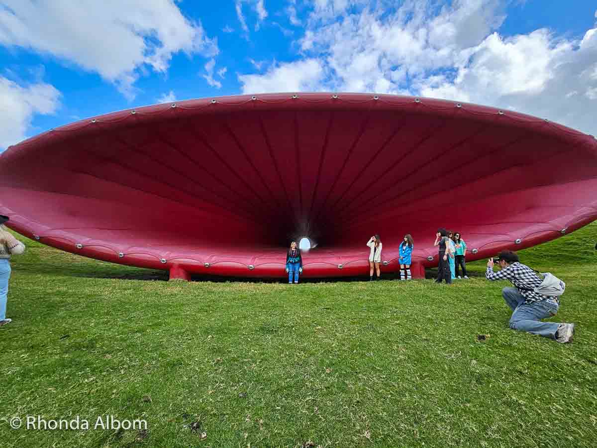 Plan Your Visit to Gibbs Farm Sculpture Park: Ultimate Guide