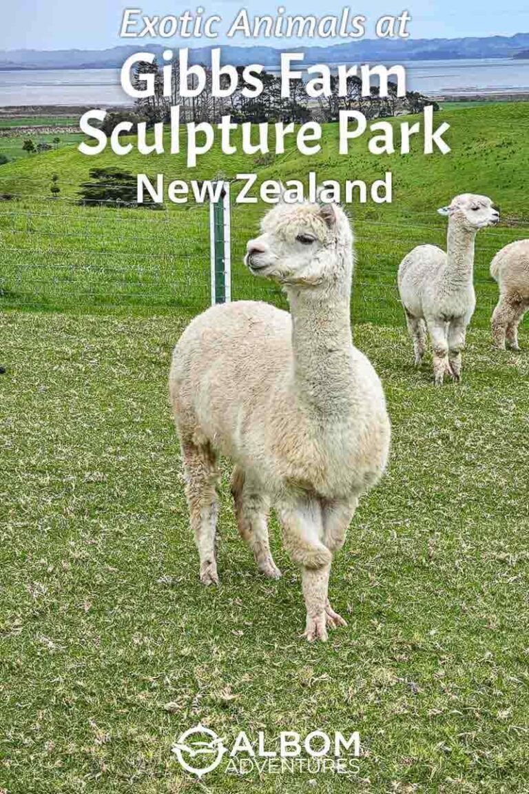 Plan Your Visit to Gibbs Farm Sculpture Park: Ultimate Guide