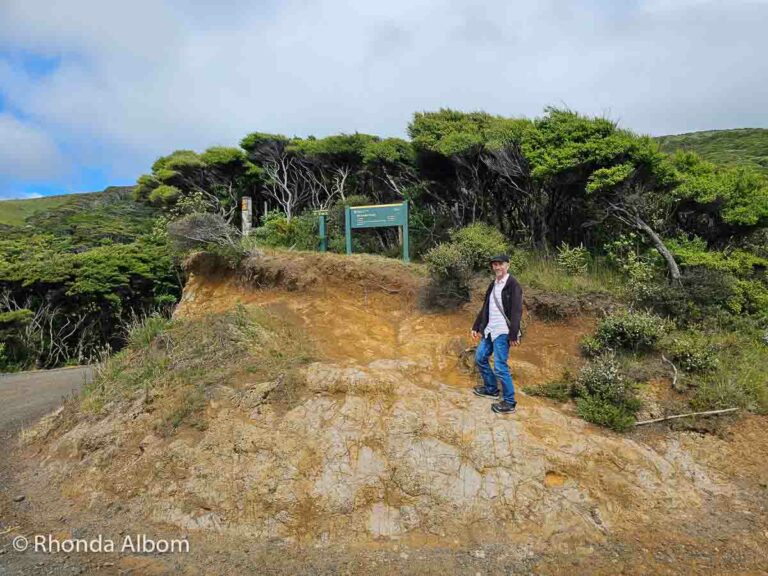 17 Things to Do in Raglan: Even if You're Too Old to Surf