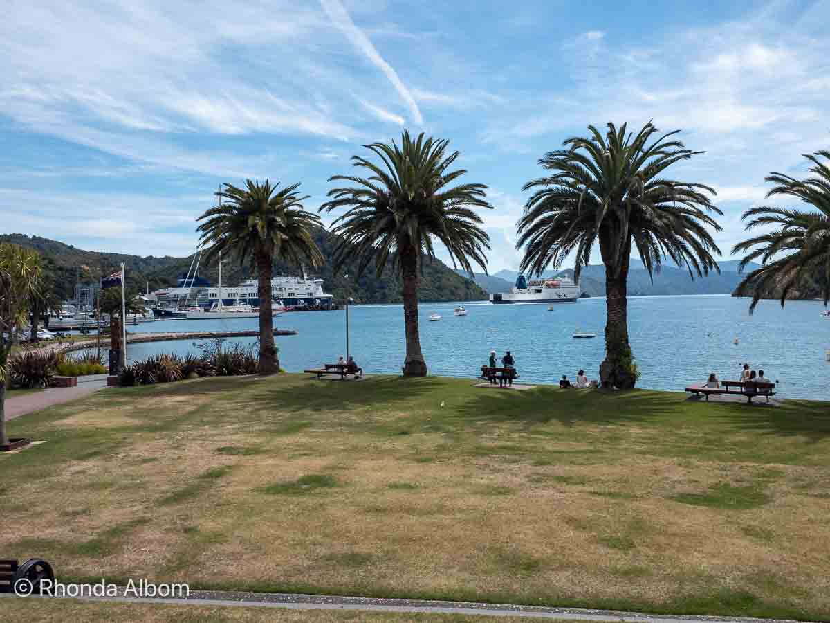 Picton to Christchurch Road Trip: Our 2 Best Scenic Options