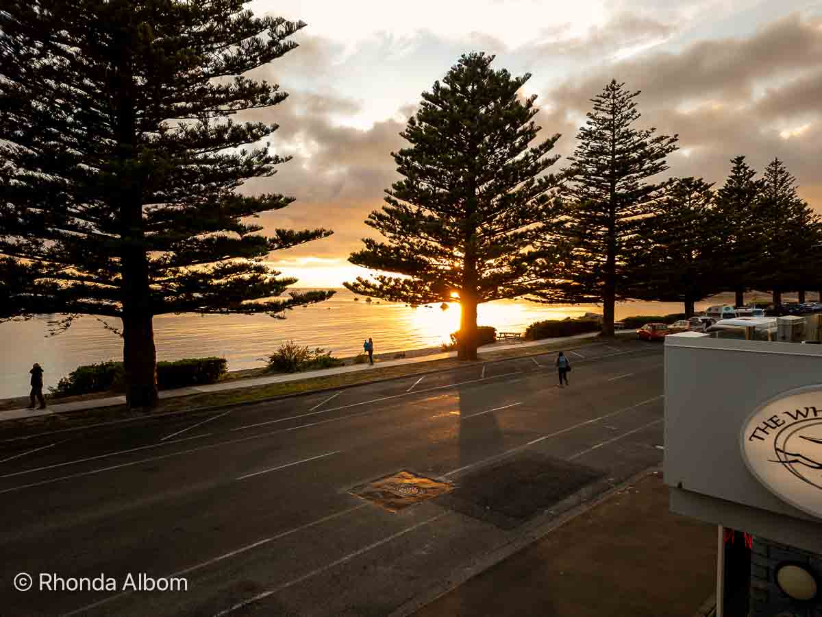 15 Kaikoura Activities from Wildlife to Star Gazing