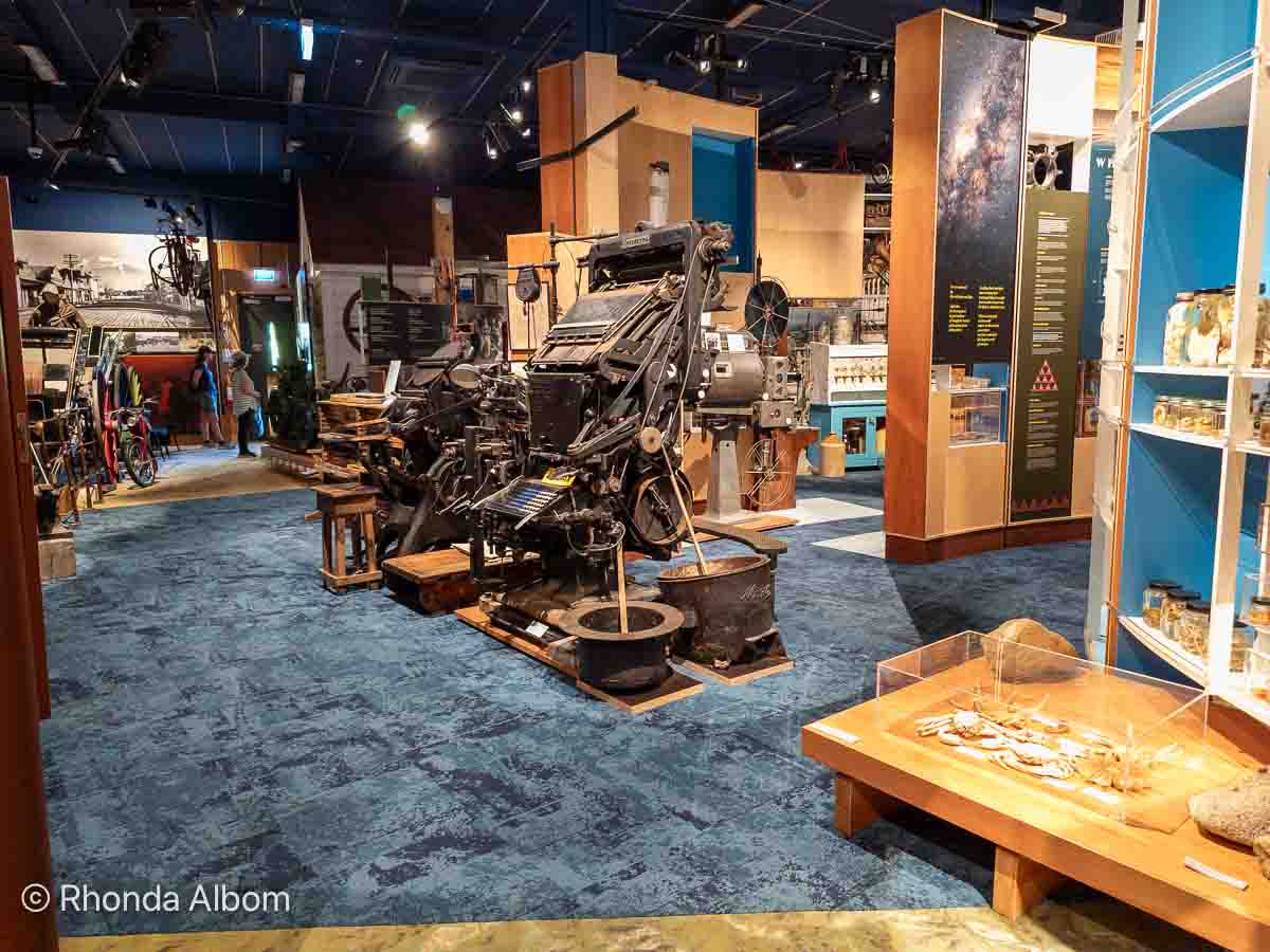 15 Kaikoura Activities from Wildlife to Star Gazing