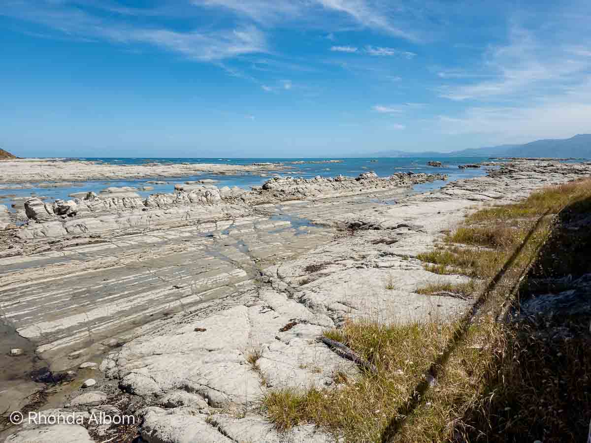 15 Kaikoura Activities from Wildlife to Star Gazing