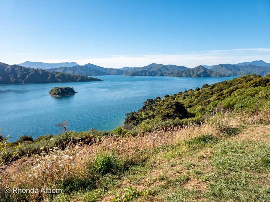 Picton Activities: 17 Ways We Explore the Marlborough Sounds