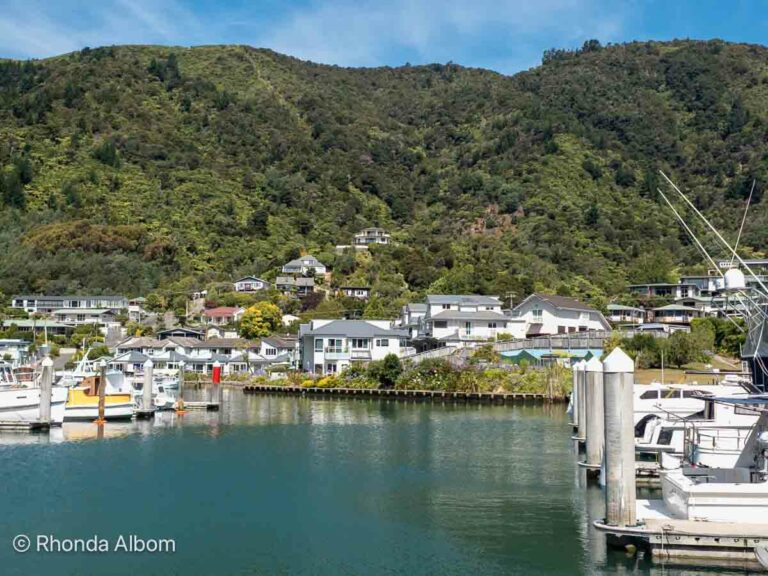 Picton Cruise Port: 13 Fun Ways to Explore Marlborough Sounds